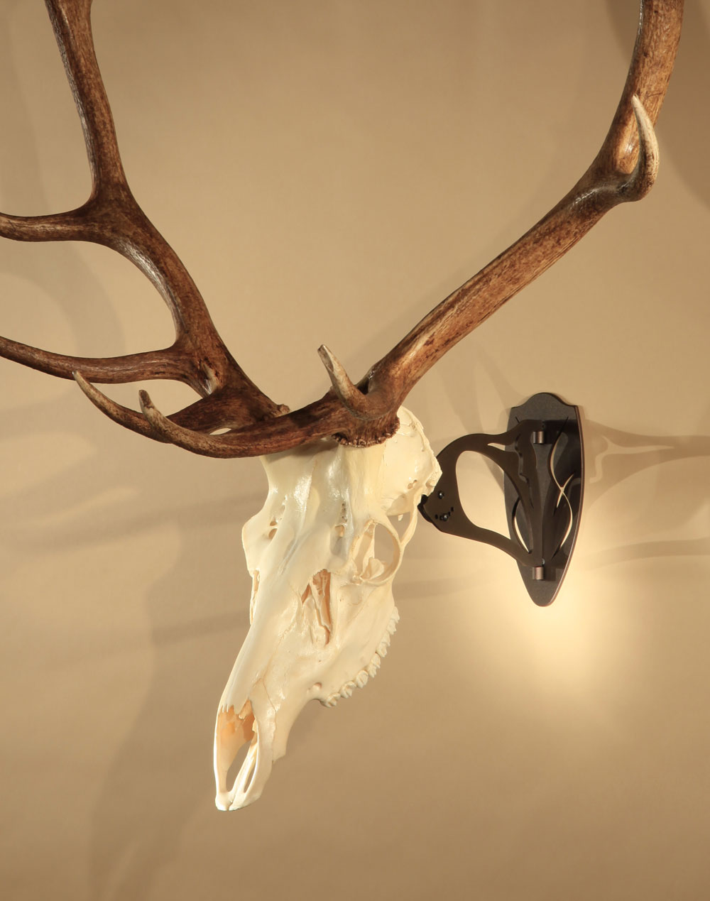 Elk European Mount Bracket