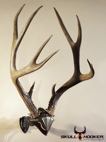 Skull Cap | Skull Hooker | European Skull Bracket System, Skull Hanger ...