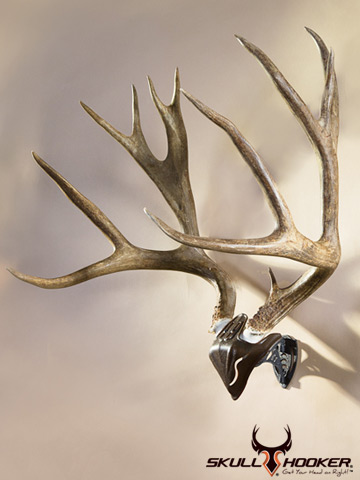 Skull Cap | Skull Hooker | European Skull Bracket System, Skull Hanger ...