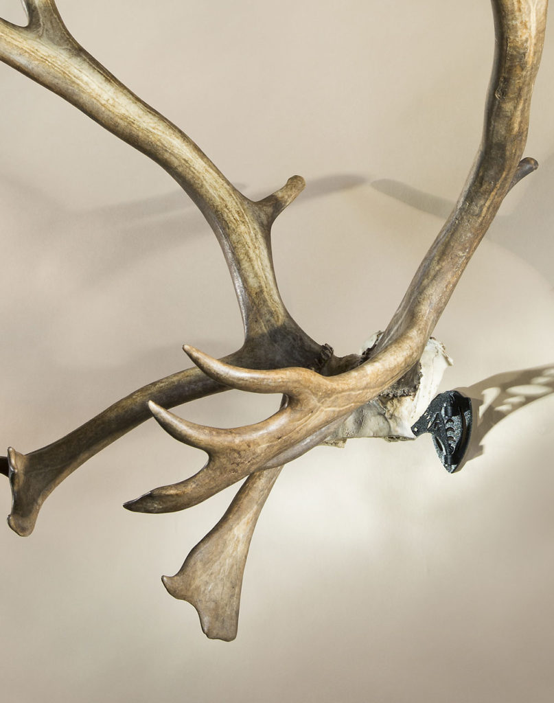 XXL Bone Bracket® - Skull Hooker