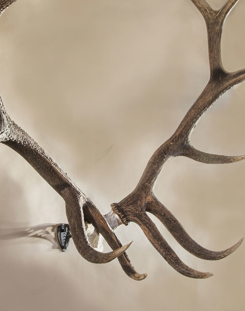 XXL Bone Bracket® - Skull Hooker