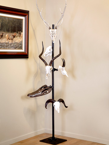 Trophy Tree | Skull Hooker | European Skull Bracket System, Skull ...