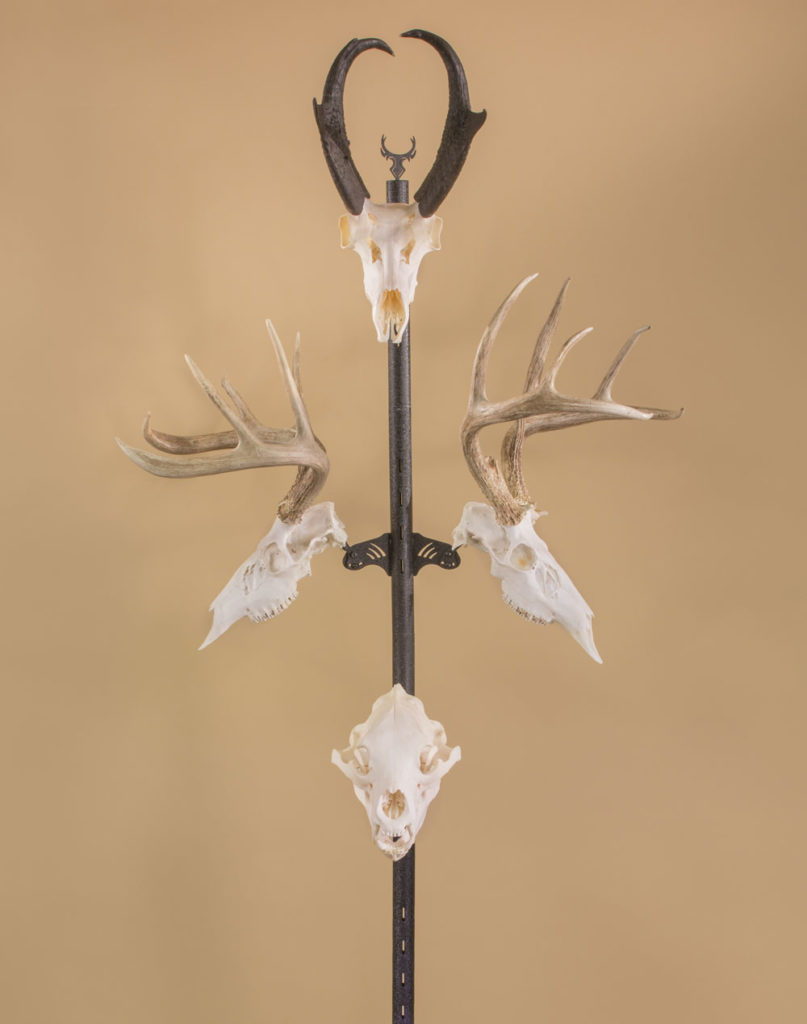 Trophy Tree - Skull Hooker