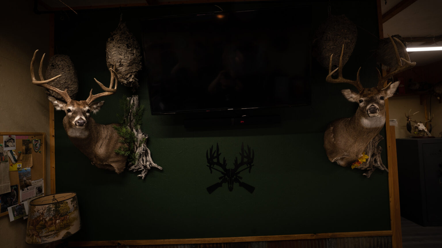 Single Shoulder Mount - Game Trophy Mount By Skull Hooker