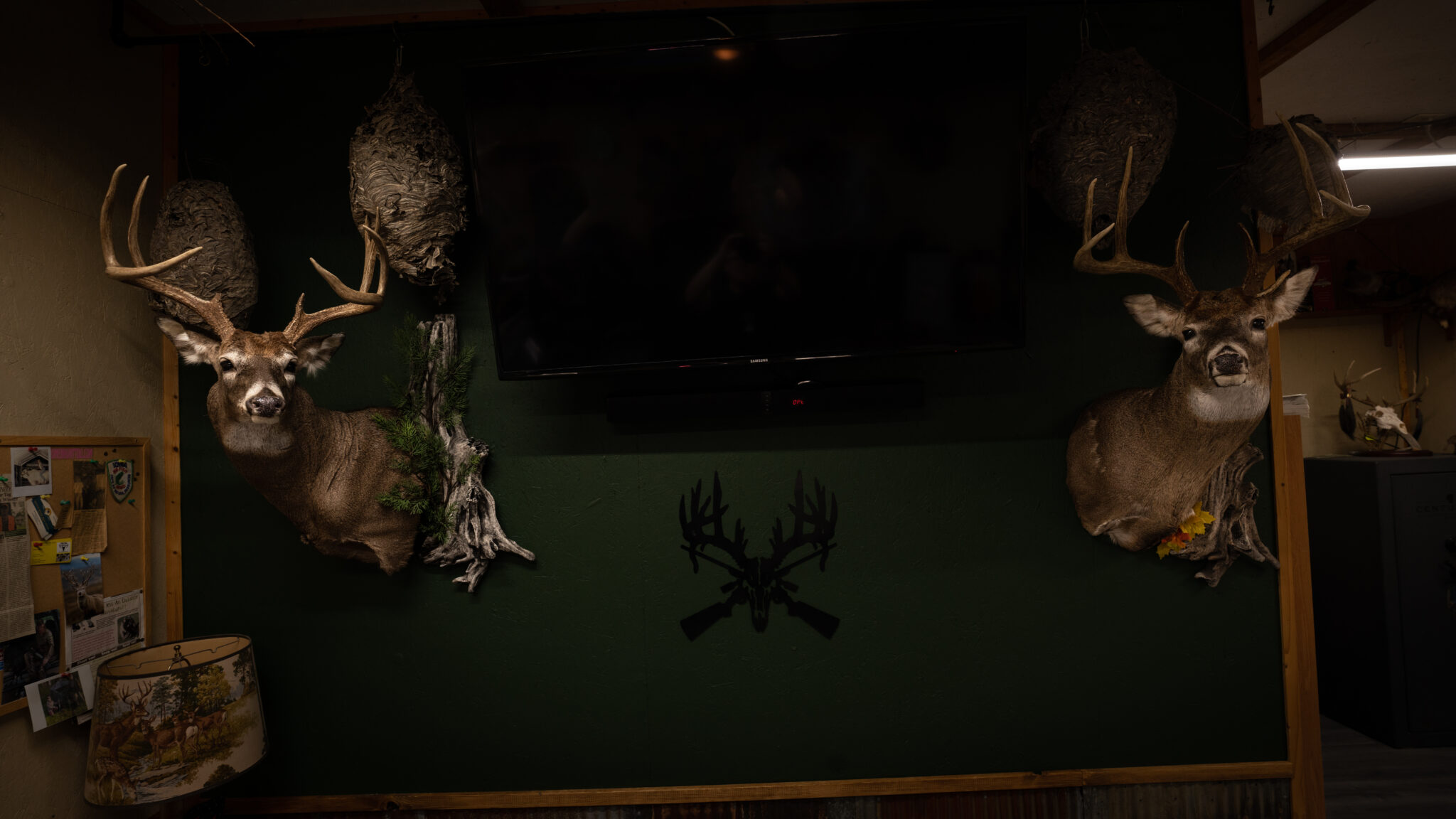 Single Shoulder Mount - Game Trophy Mount By Skull Hooker