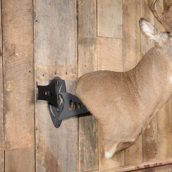 Skull Hooker | Professionally Crafted Skull Mounting Solutions