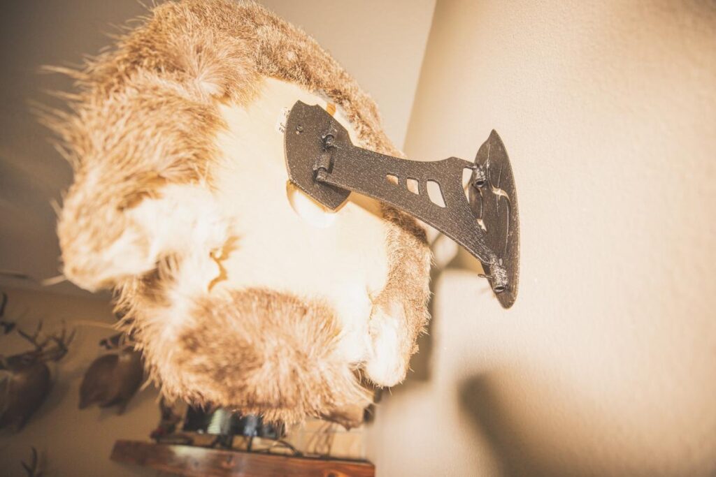 Corner Shoulder Mount - Game Trophy Mount By Skull Hooker