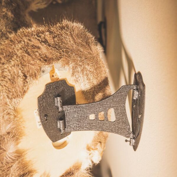 Skull Hooker | Professionally Crafted Skull Mounting Solutions