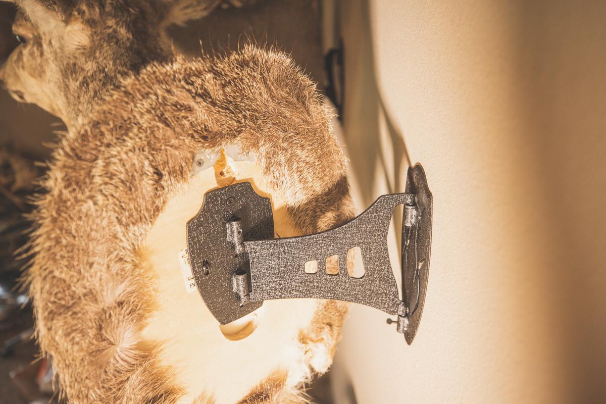 Dual Shoulder Mount - Game Trophy Mount By Skull Hooker