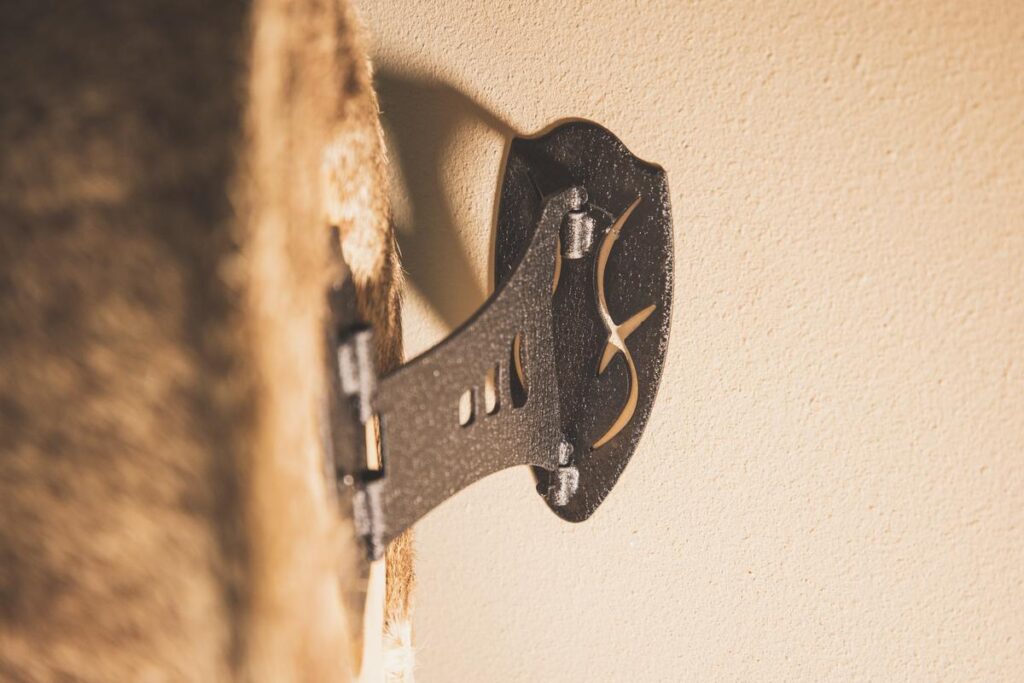 Corner Shoulder Mount - Game Trophy Mount By Skull Hooker