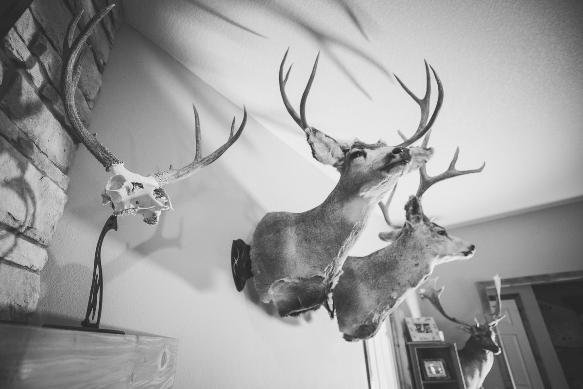 Dual Shoulder Mount - Game Trophy Mount By Skull Hooker