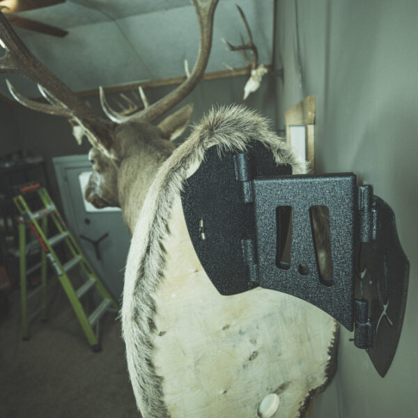 Skull Hooker | Professionally Crafted Skull Mounting Solutions